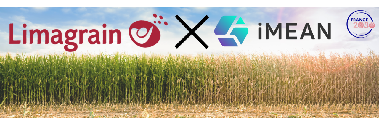 2M€ project in collaboration with Limagrain funded by BPI - iMEAN