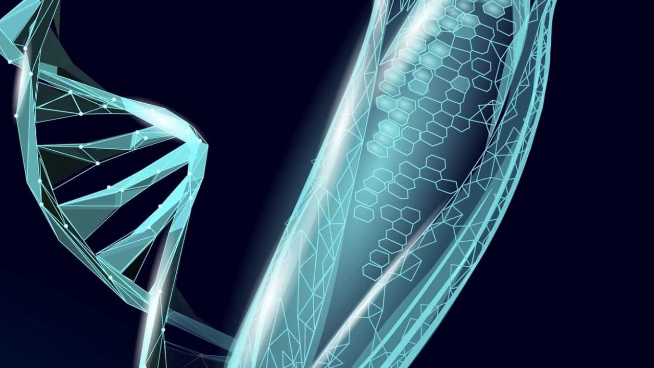 2M€ project in collaboration with Limagrain funded by BPI - iMEAN